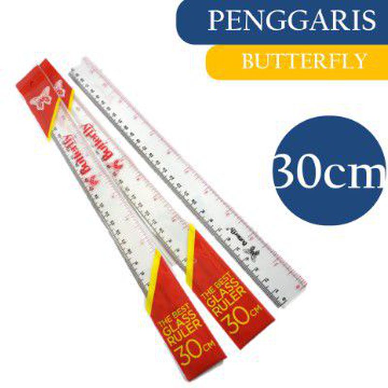 PENGGARIS 30 CM ( Plastik )