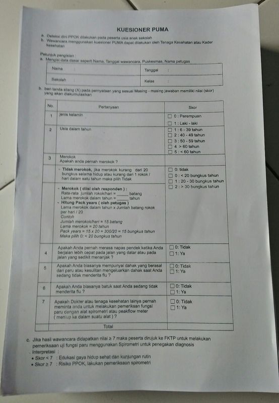 Kuesioner PUMA