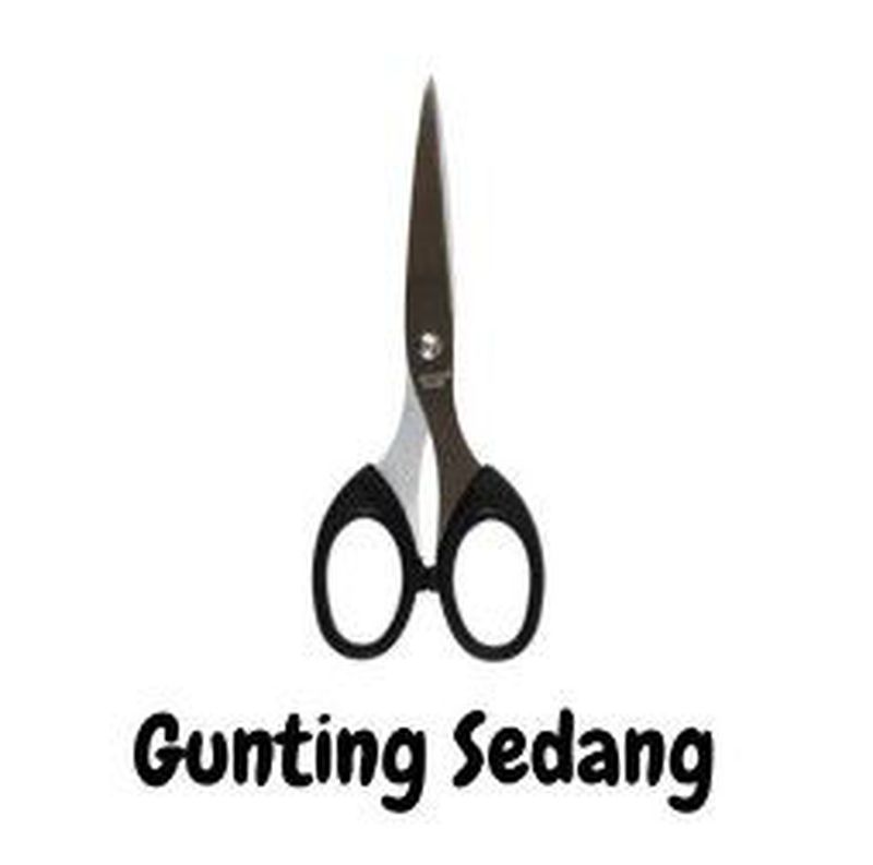 GUNTING SEDANG