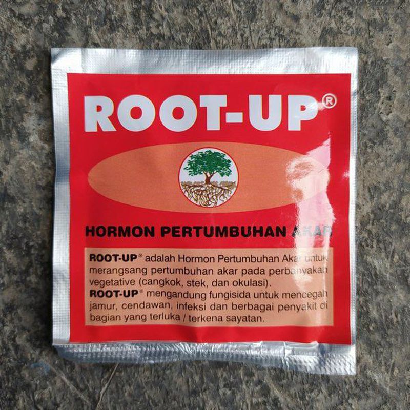Perangsang akar Root Up 25 gram
