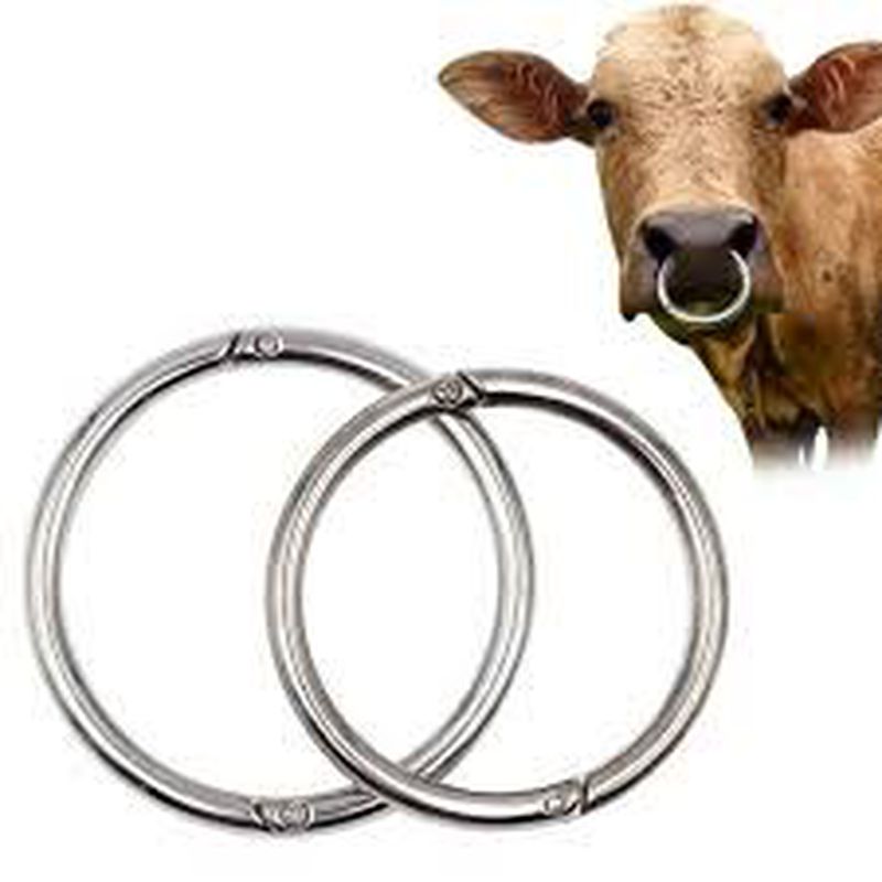 Ring Nose