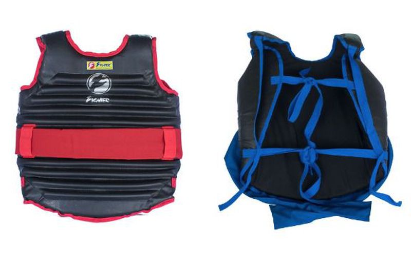 Body protector silat