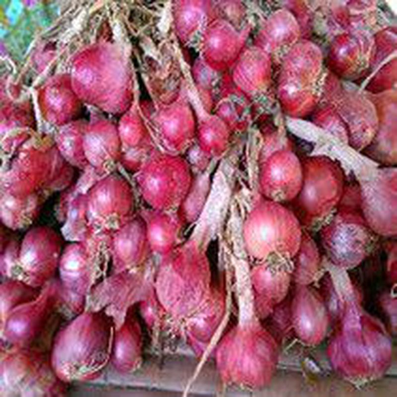 Bawang Merah