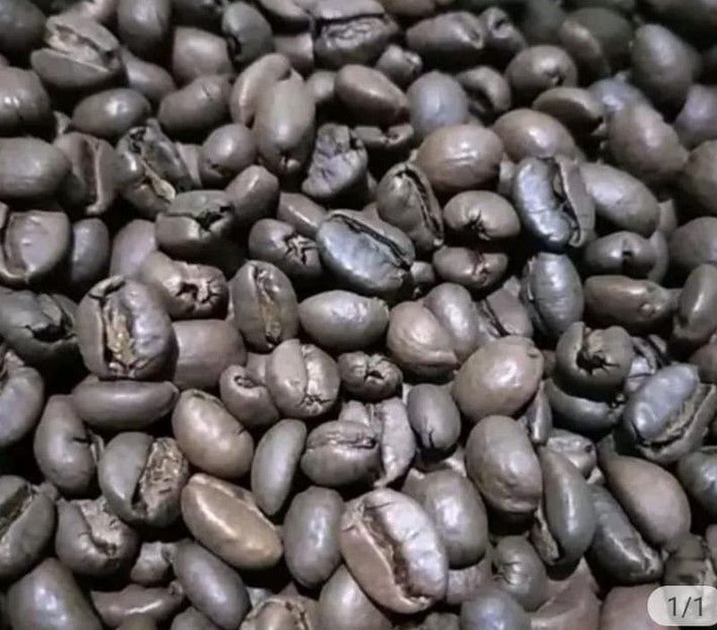 Kopi Roasting Liberika / Exelsa