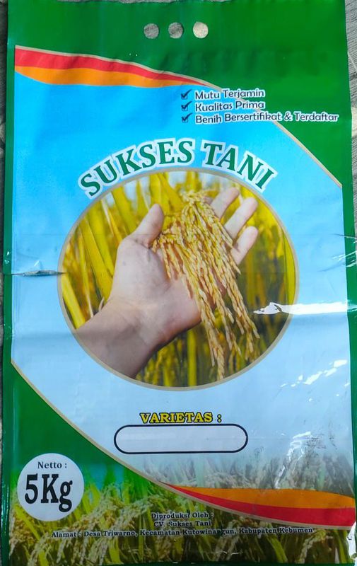 Benih Padi Varietas CIHERANG