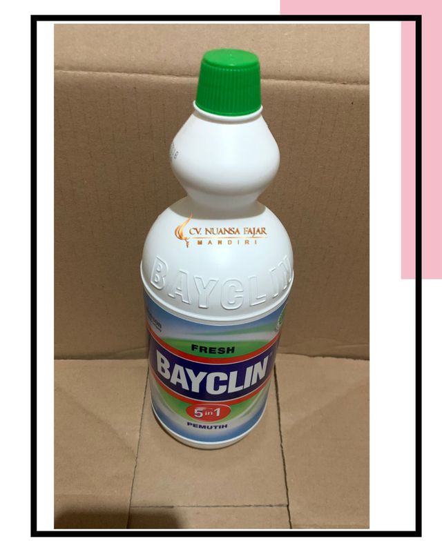 BAYCLIN FRESH 5 IN 1