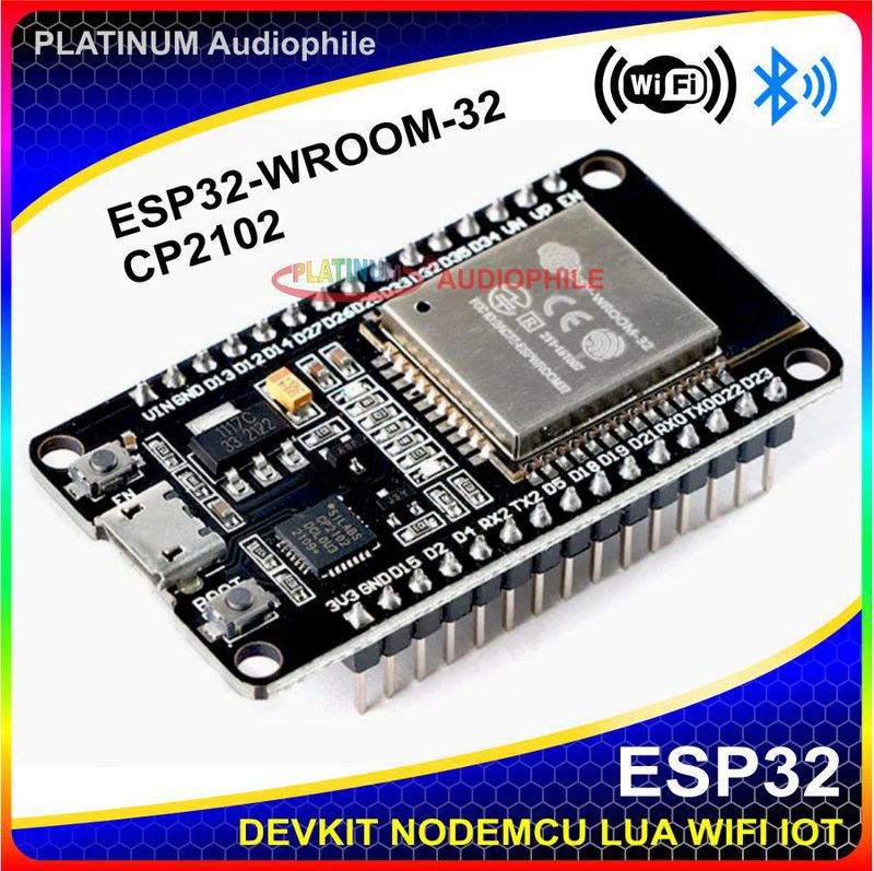 ESP 32