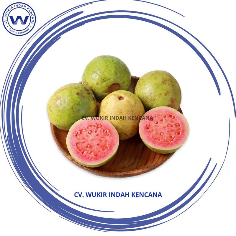 Jambu Biji Merah 1 Kg