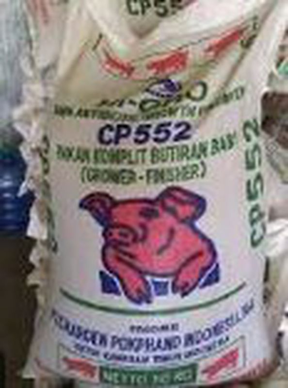 Pakan Babi 552