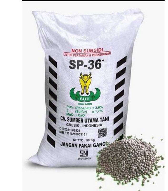 Pupuk SP-36 (50 Kg/Karung)
