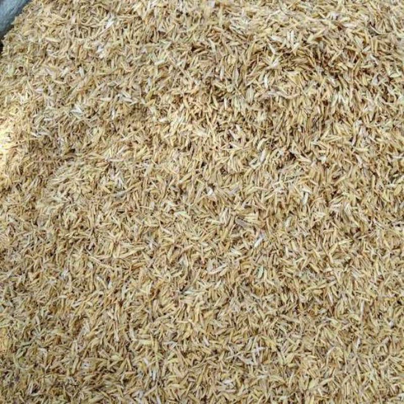 Sekam Kulit padi kering