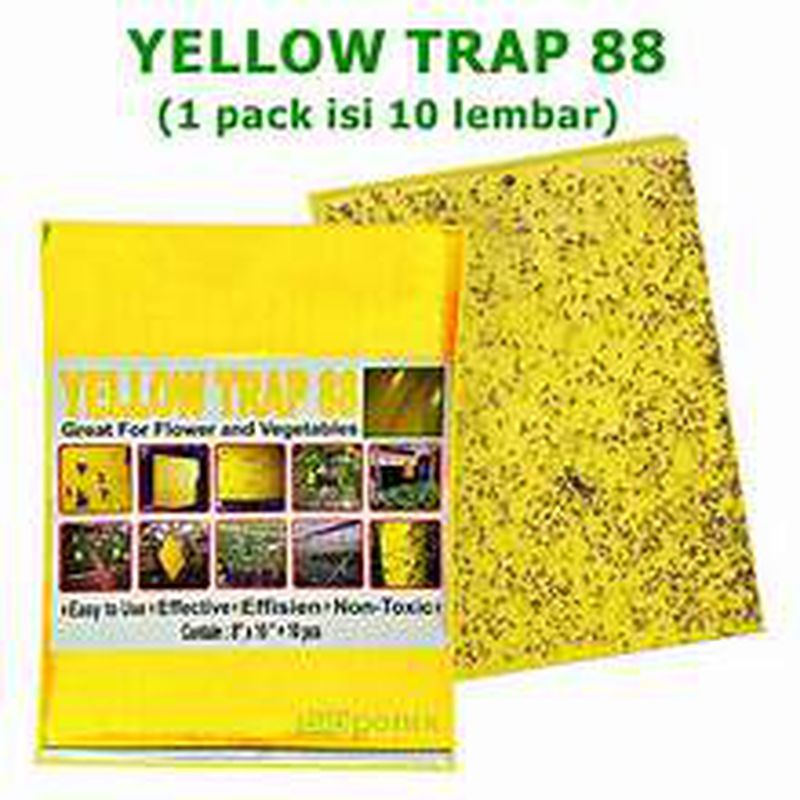 YELLOW TRAP PERANGKAP SERANGGA LALAT TANAMAN LEM KERTAS INSECT