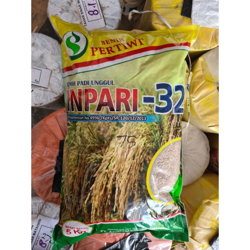 Benih Padi Unggul BD - Inpari 32
