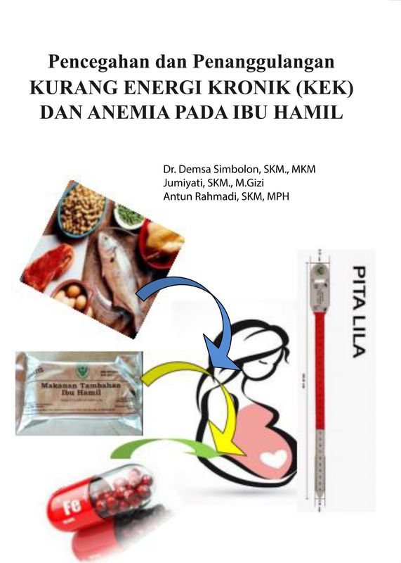 EBOOK - Modul Edukasi Gizi Pencegahan dan Penanggulangan Kurang Energi ...