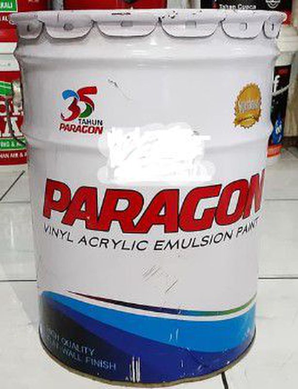 CAT PARAGON 30 KG