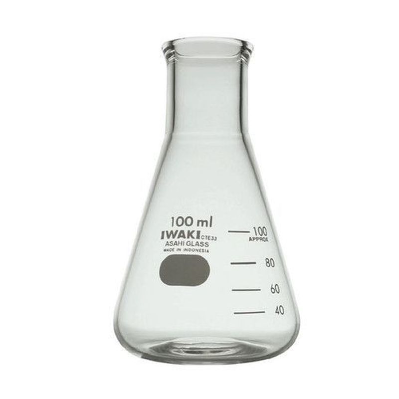 Erlenmeyer 100 ml 4980fk100