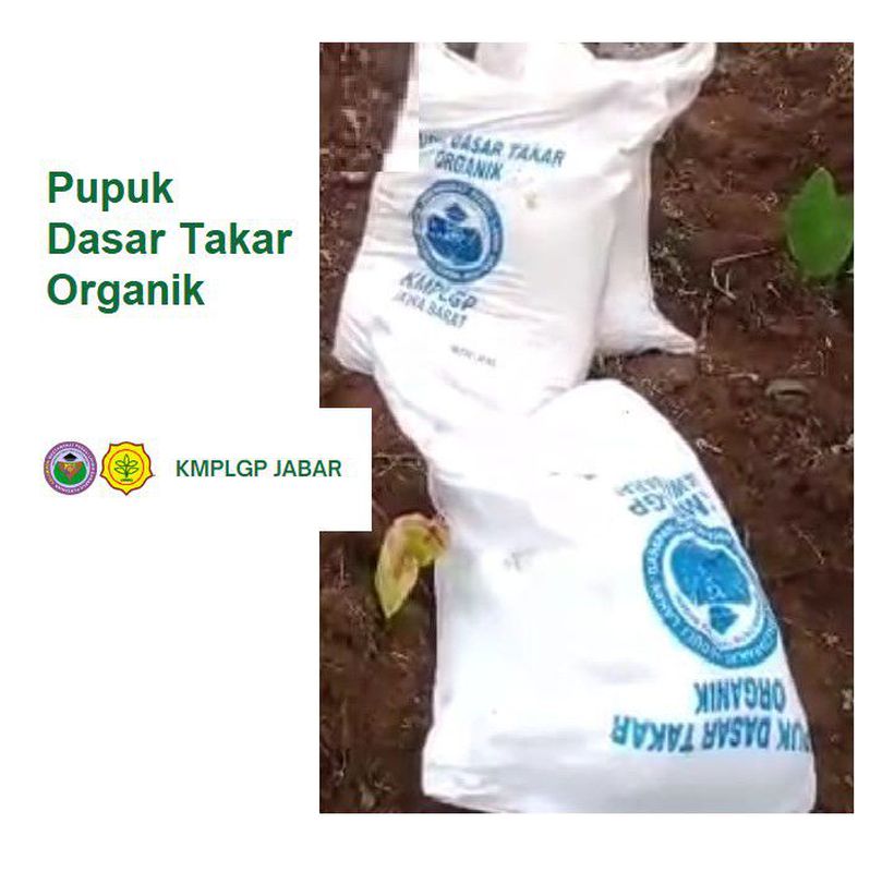 Pupuk Dasar Takar Organik