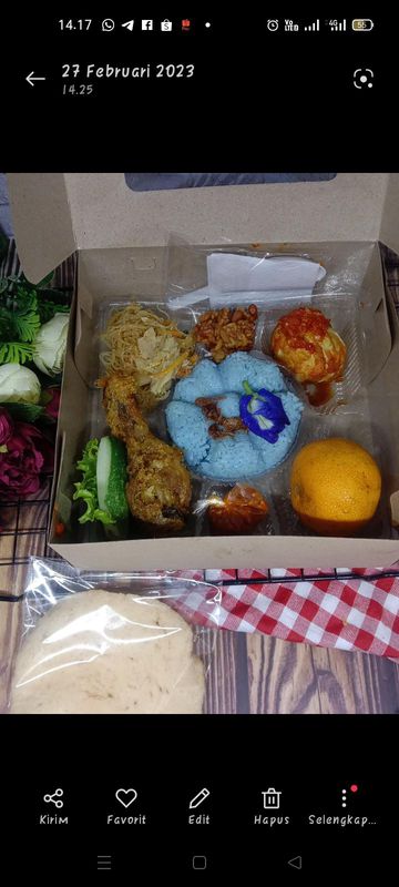 Nasi Box B