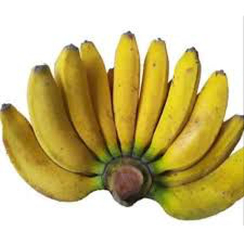 pisang raja