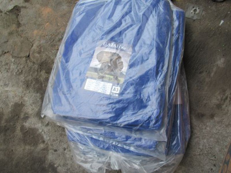 Terpal biru 2x3