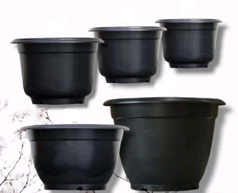Set Pot Tanaman