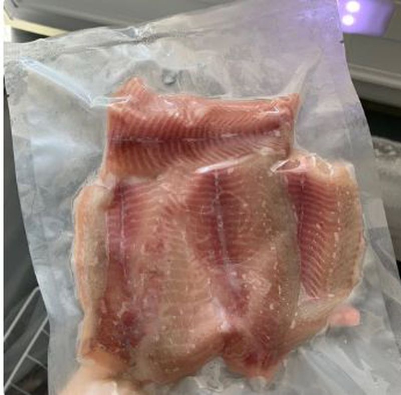 Daging Ikan Lele Fillet