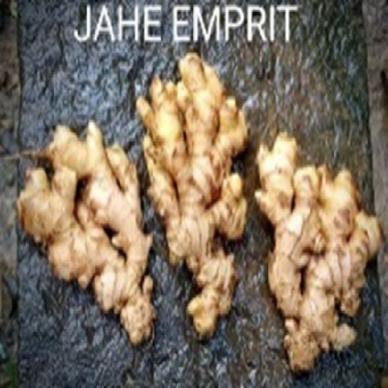 Jahe emprit