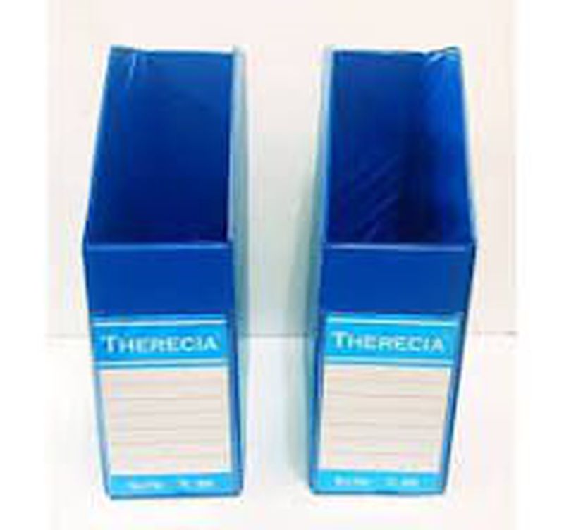 FILE BOX THERECIA
