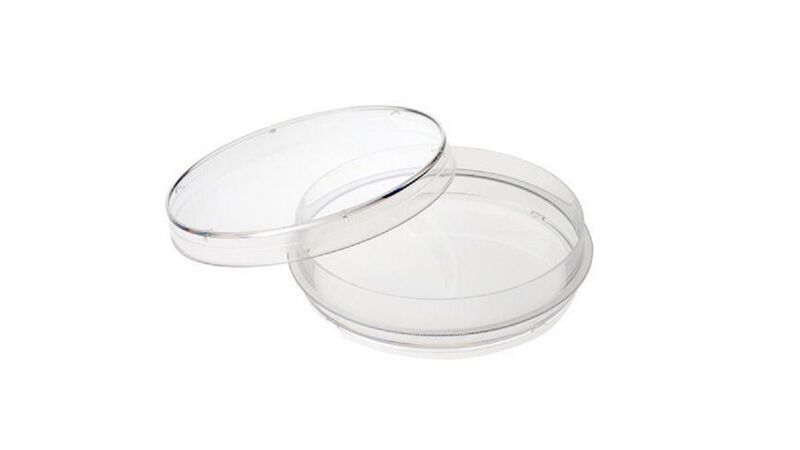 Petridish