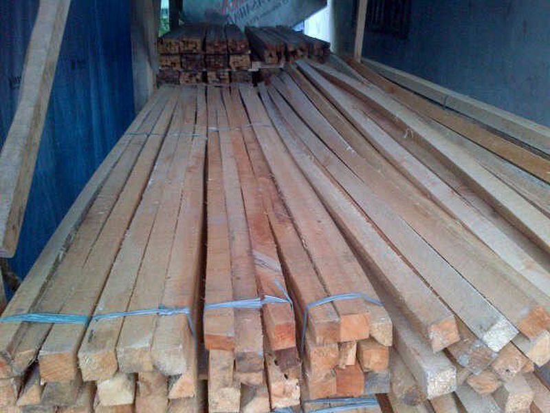 KAYU SENGON