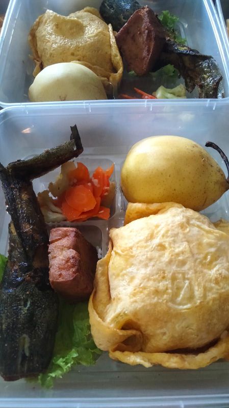 PMT Balita nasi selimut dadar lele goreng dan buah