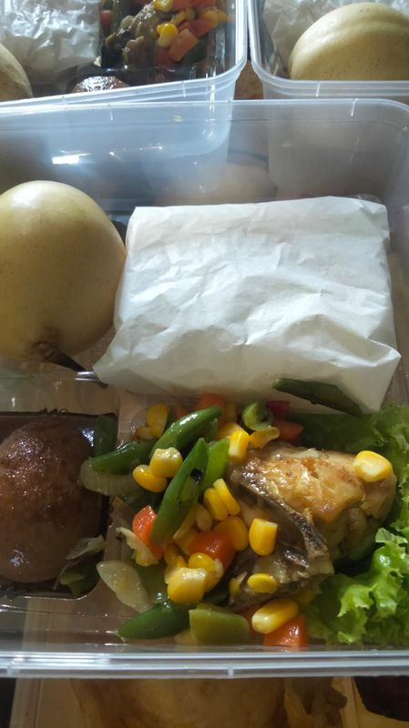 PMT Makanan lengkap ibu hamil KEK nasi semur ayam tahu dan buah