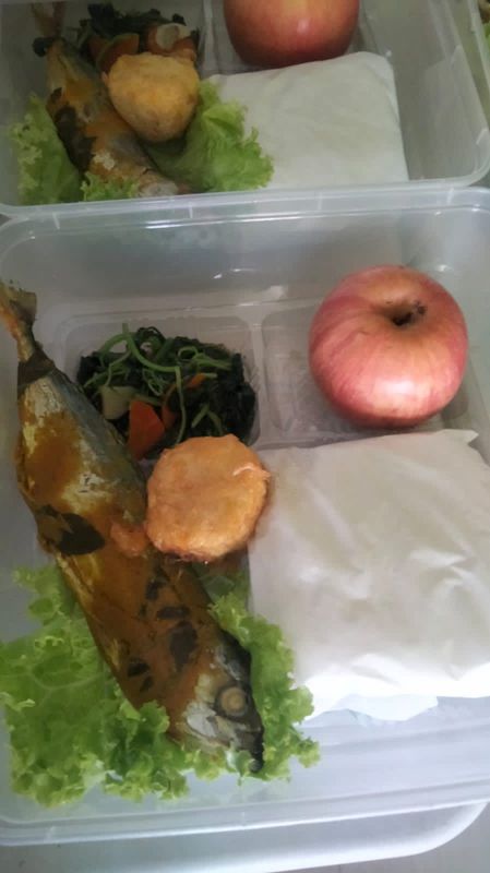 PMT Ibu Hamil KEK Nasi Pepes Ikan Telor Perkedel tahu bening bayam dan Buah