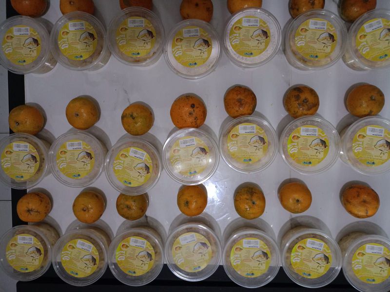 PMT Balita Kudapan macaroni kukus ayam telor dan Buah