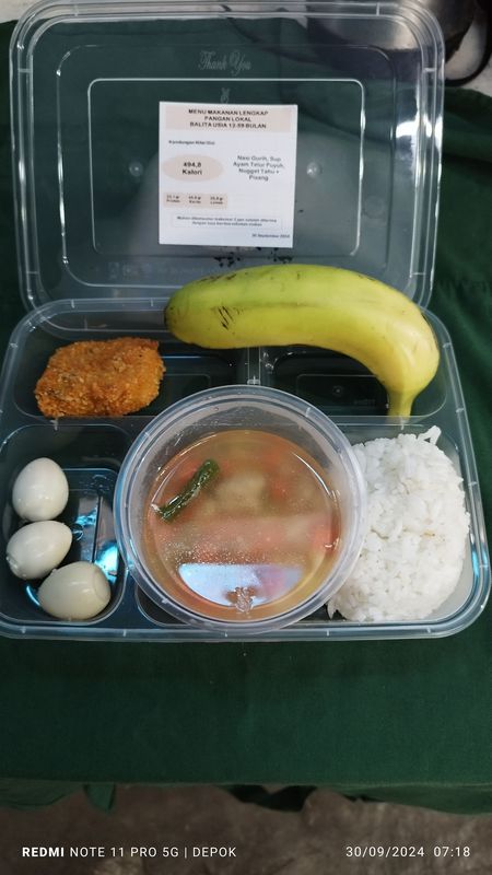 Pemberian Makanan Tambahan (PMT) Balita12-59 bulan nasi gurih sup ayam ...