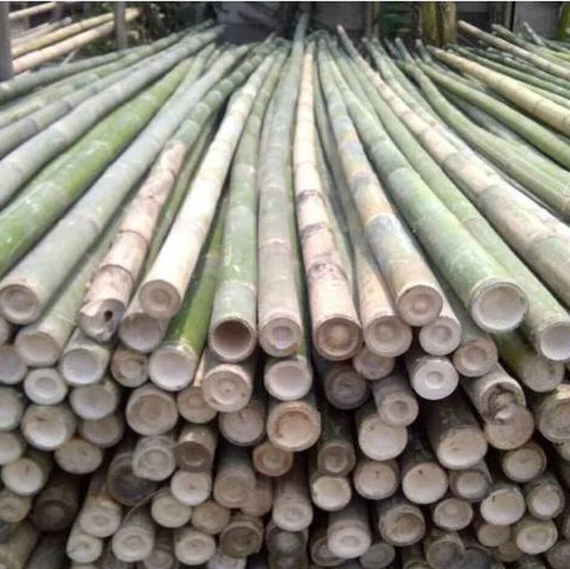 Bambu Cor