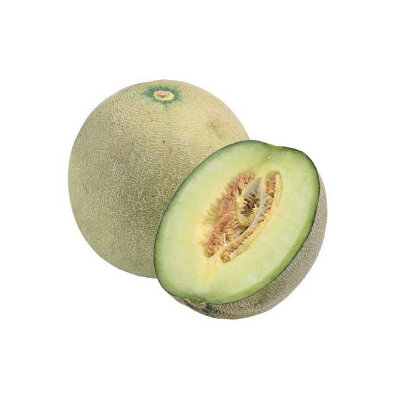 Melon