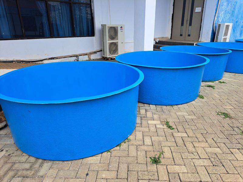 Bak Fiberglas Bulat D2meter tinggi 80cm