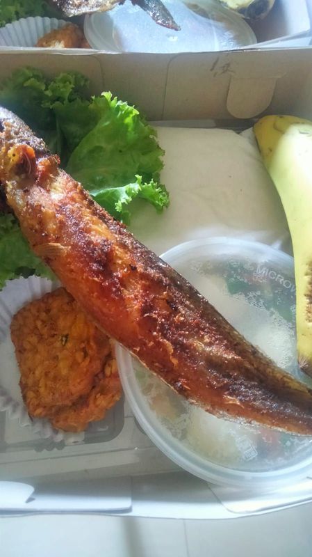 PMT makanan lengkap ibu hamil KEK nasi lele tempe bumbu kuning sup ...