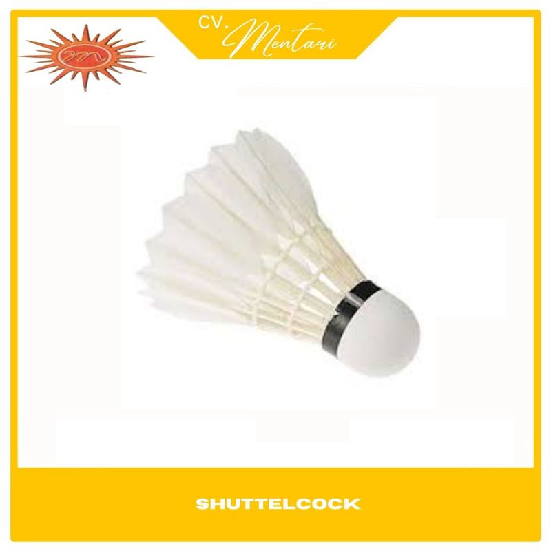 SHUTTLECOCK