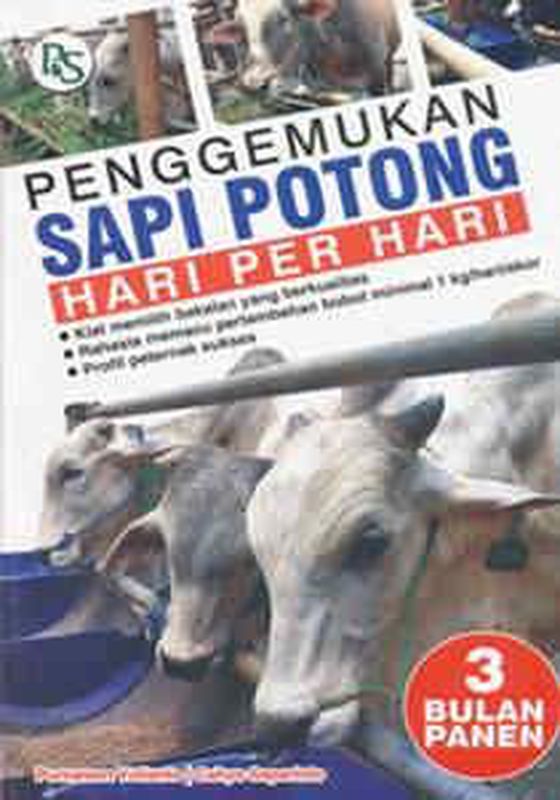 Penggemukan Sapi Potong Hari Per Hari - 3 Bulan Panen