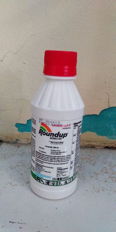 HERBISIDA ROUNDUP RACUN RUMPUT