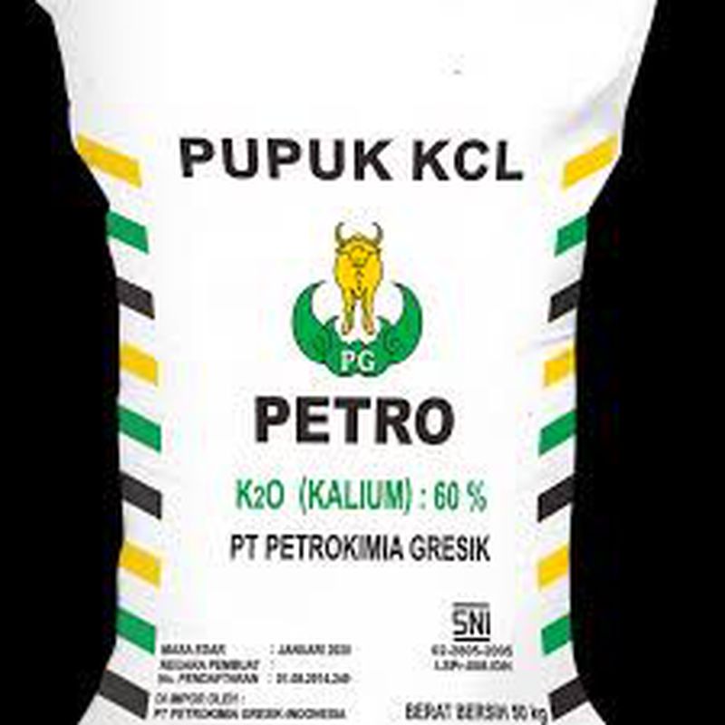 Pupuk KCL