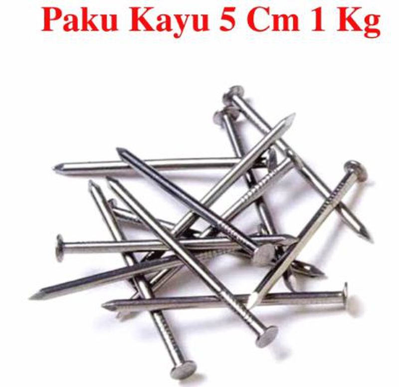 Paku Kayu 5