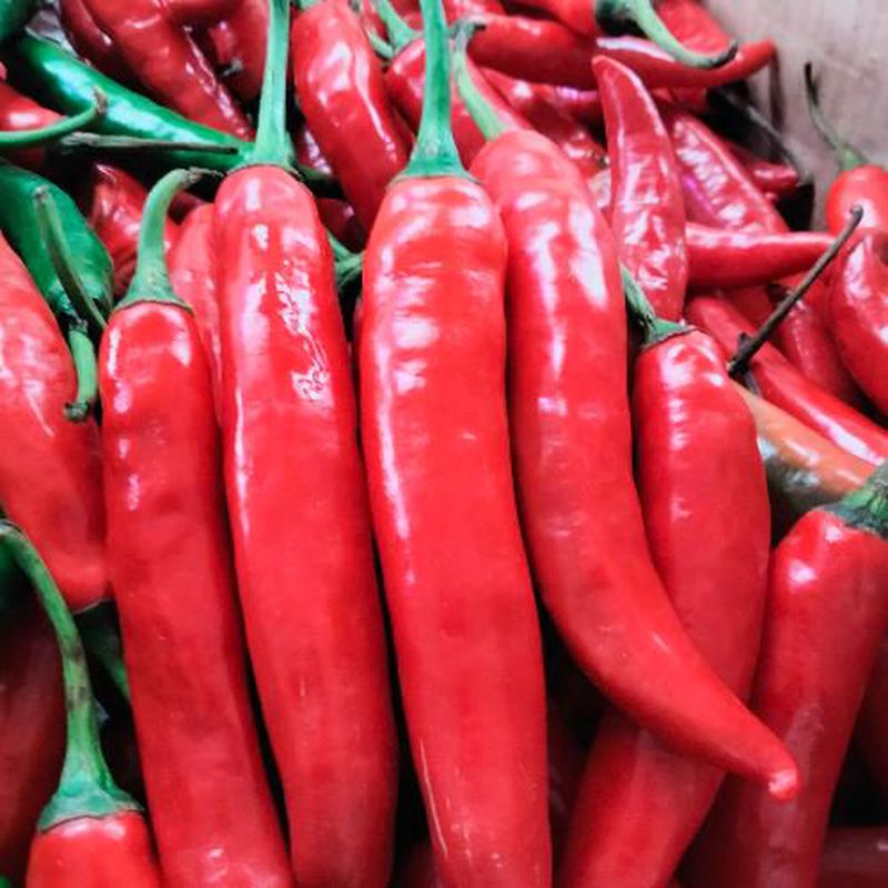 Cabai Merah Besar