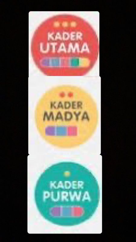 Media KIE untuk Posyandu/alat bantu Kader ( Tanda Kecakapan Kader - PIN)