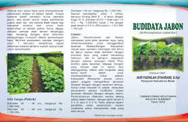 LEAFLET