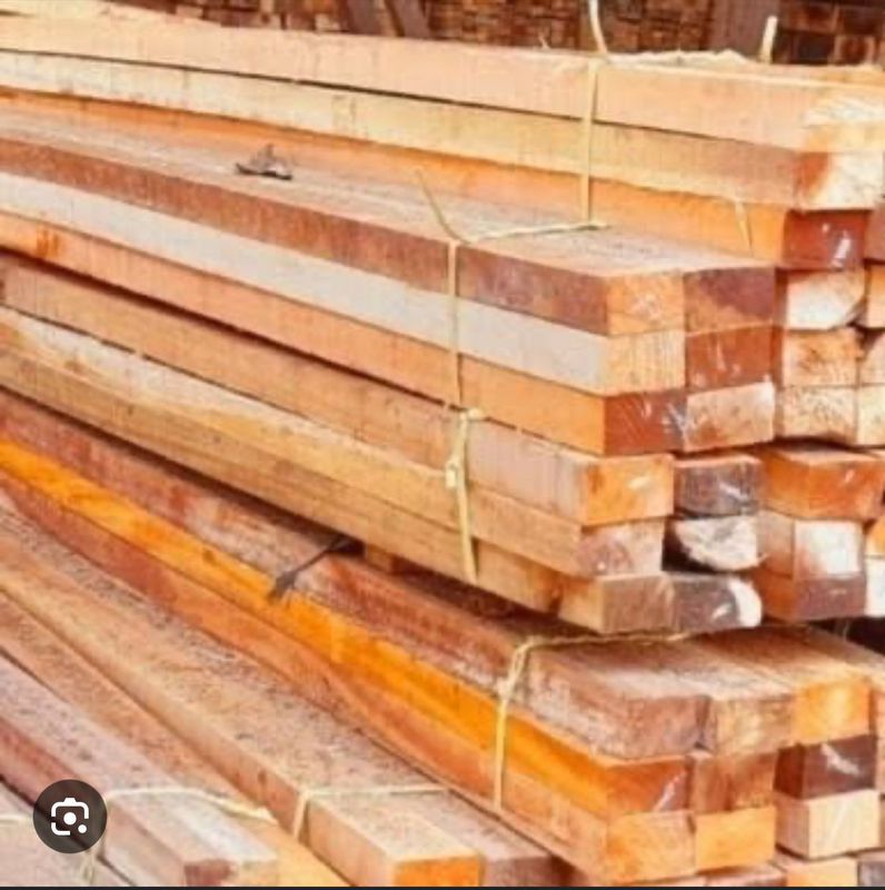 KAYU BEGISTING