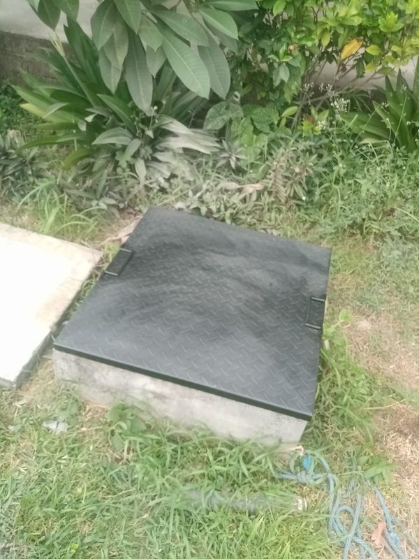 Tutp Sapiteng 84 x 82