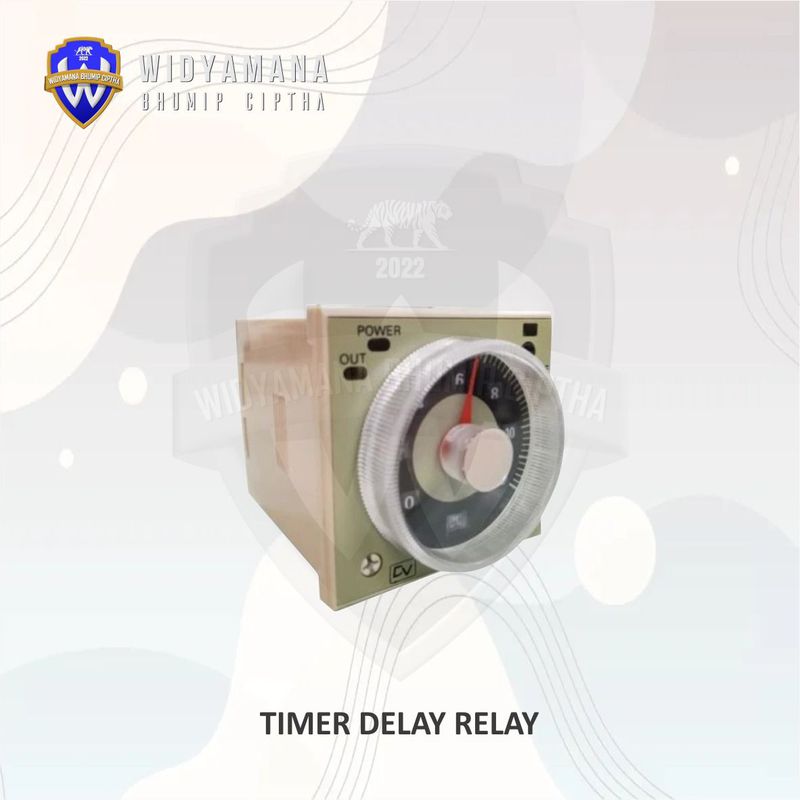 TIMER DELAY RELAY